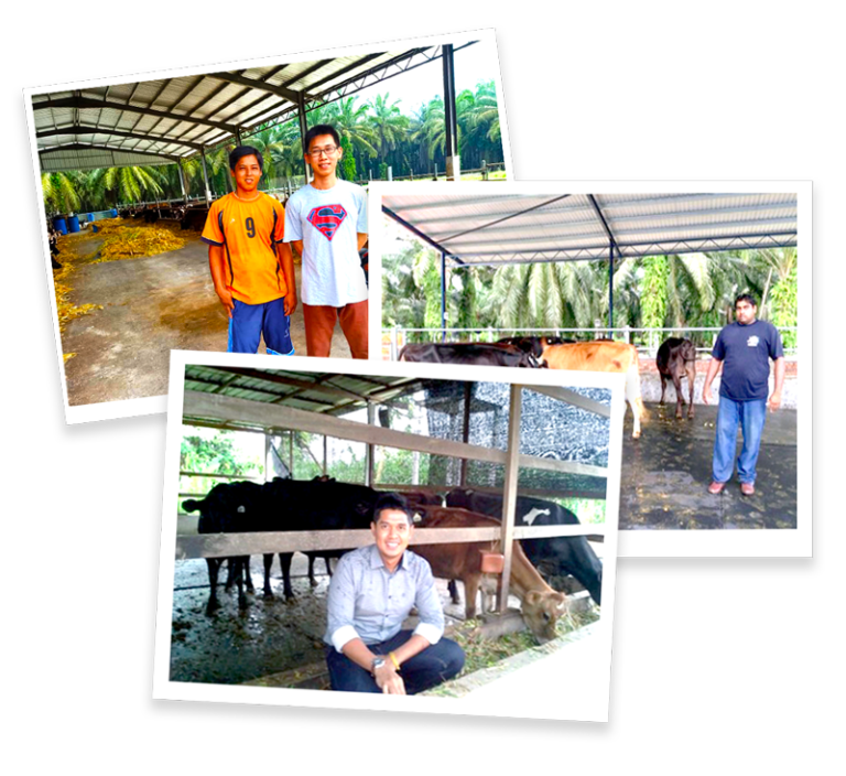 The Farm Fresh Story - Farm Fresh Malaysia