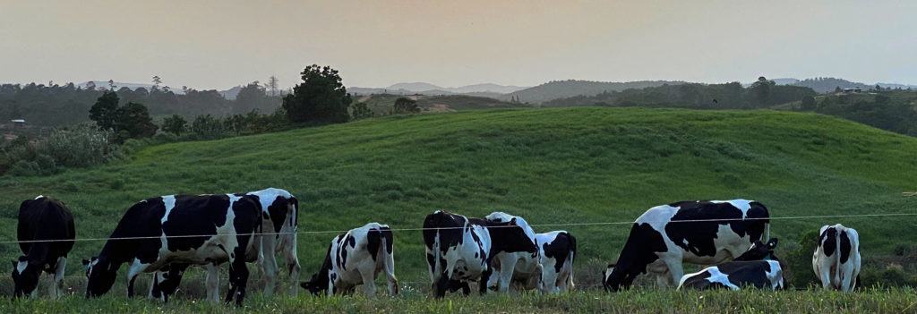 Contact Us - Farm Fresh Malaysia